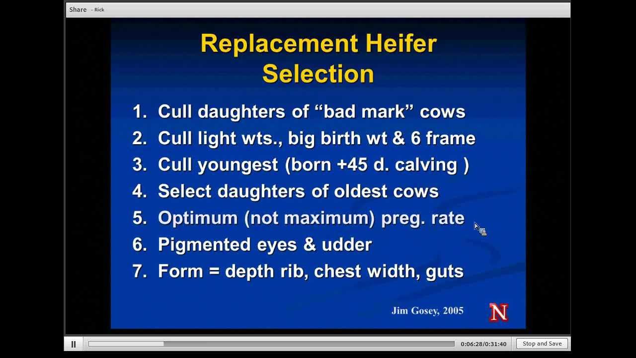 Cost Effective Replacement Heifer Development