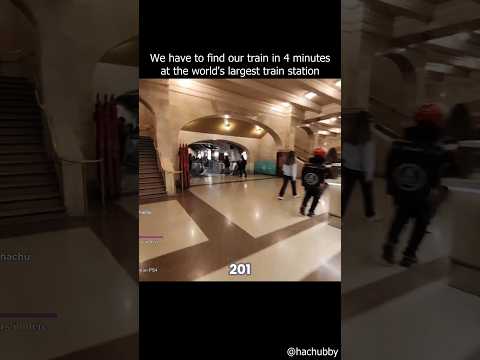 We have to find our train in 4 minutes at the world's largest train station (ft. @MeesterKeem)