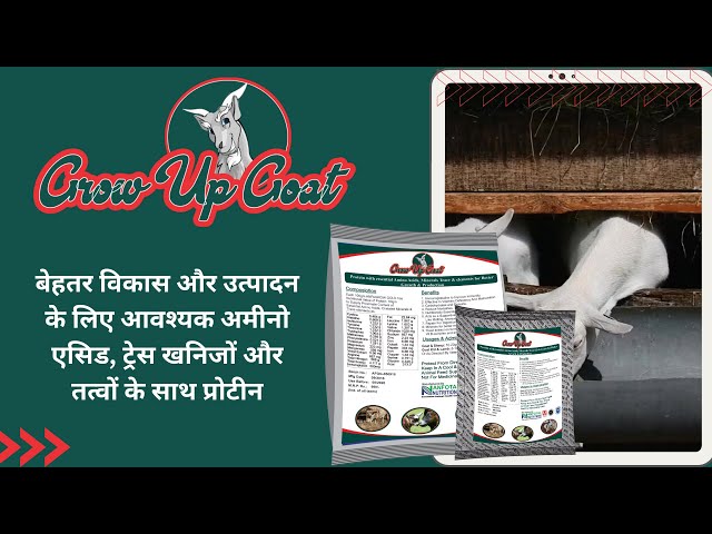 Mineral Mixture - Poultry Egg Enhancer Supplement (ovimin) Trader ...