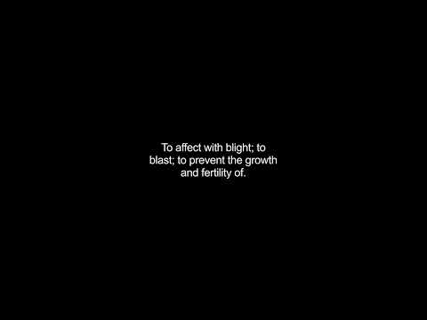 blighted video Dictionary meaning and pronunciation