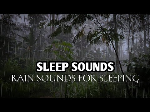 Rain Sounds for Sleeping Rainforest - Rain Sounds, Sleep Sounds