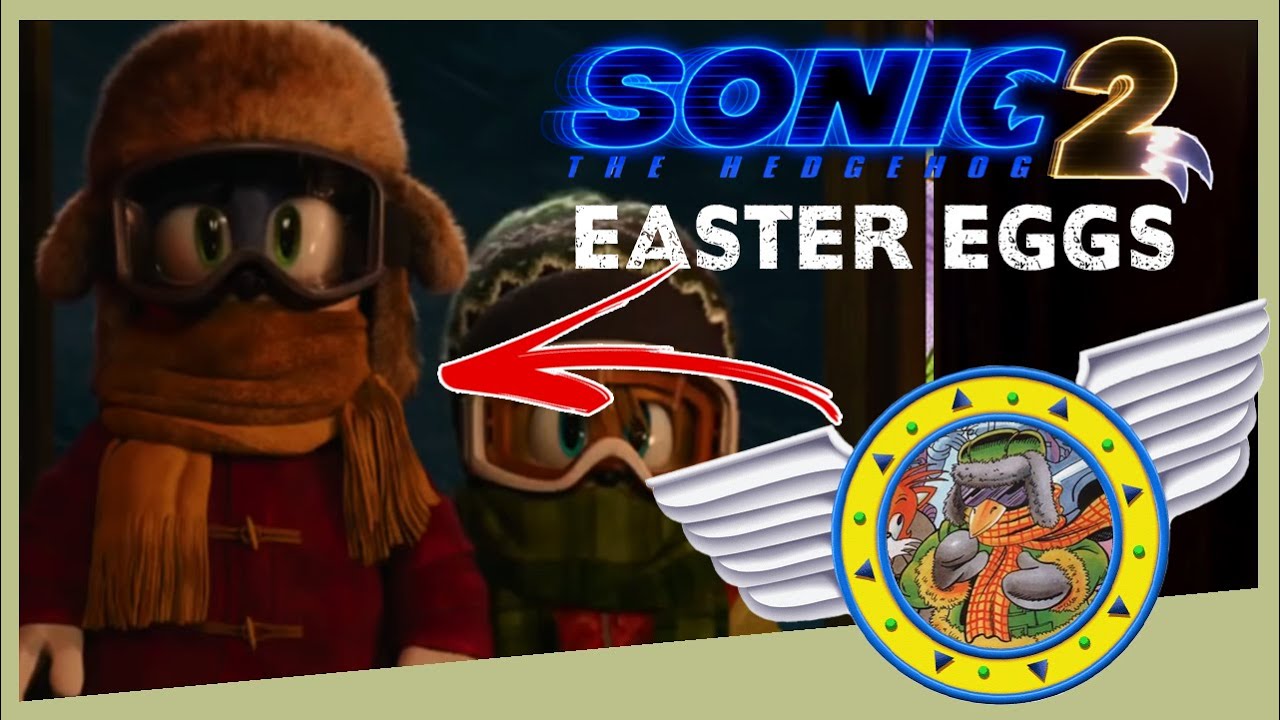 17 Easter Eggs and References in SONIC 2