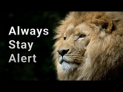 Always Stay Alert