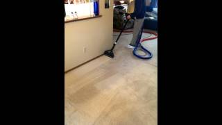 3 Best Carpet Cleaners in St Paul, MN - Expert Recommendations