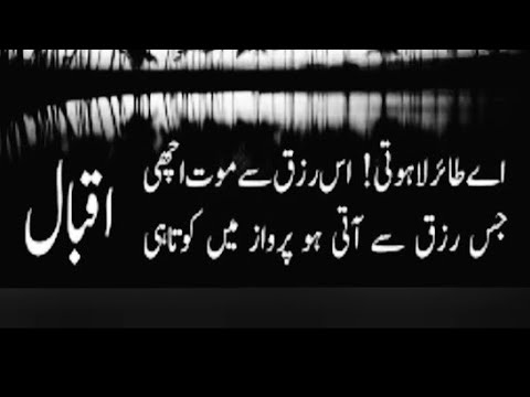 Ae Tair e Lahoti us Rizq se mout achi || Jis Rizq se aati Ho Parwaz main Kotahi..