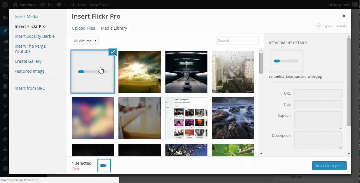 Upload with Flickr Pro