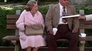 Forrest Gump - Chocolate