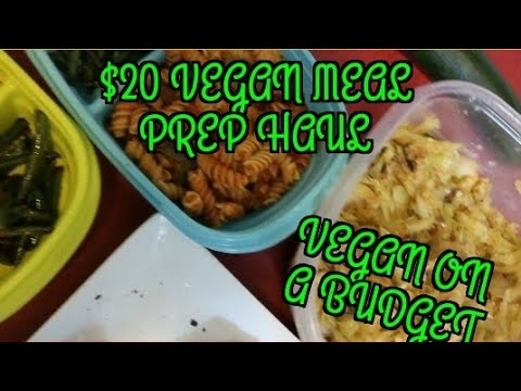 VEGAN ON A BUDGET $20 Meal Prep . 10+ Meals ! From Food Lion,