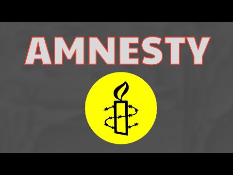 What Does AMNESTY Means || Meanings And Definitions With Example in ENGLISH .