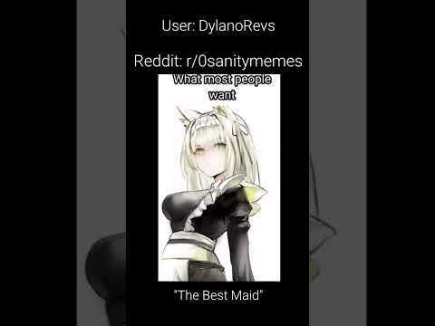 The Best Maid #arknights #reddit #maid #cat