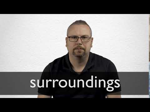 SURROUNDINGS definition in American English | Collins English Dictionary