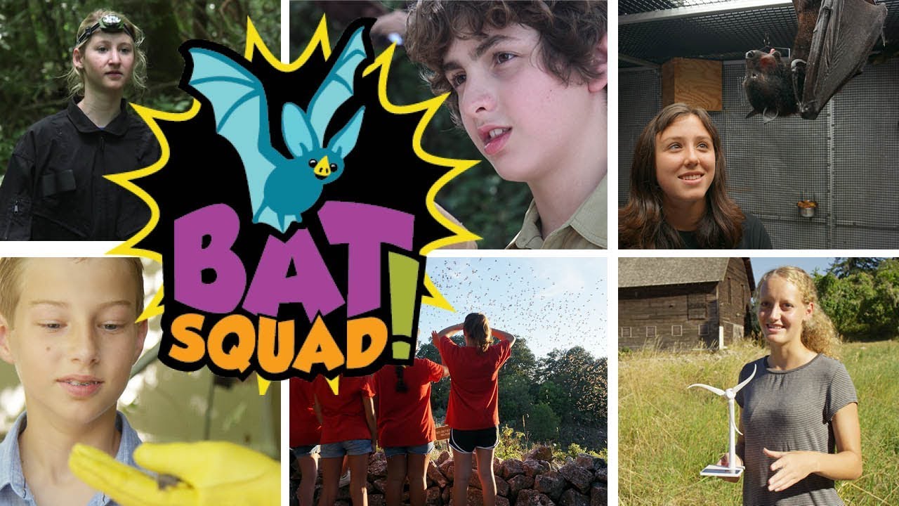 Introducing: The Bat Squad!