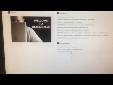 Turnitin Error