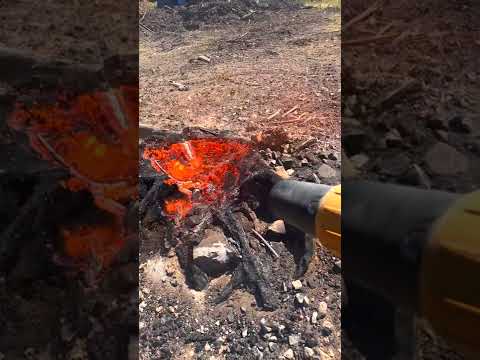 Burning a Stump with a Leaf Blower #stumpremoval #farmlife #homestead