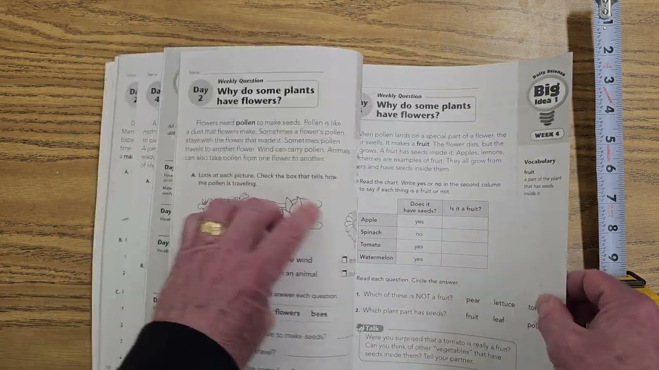Daily Science Workbook for 2nd Grade Review Evan Moor