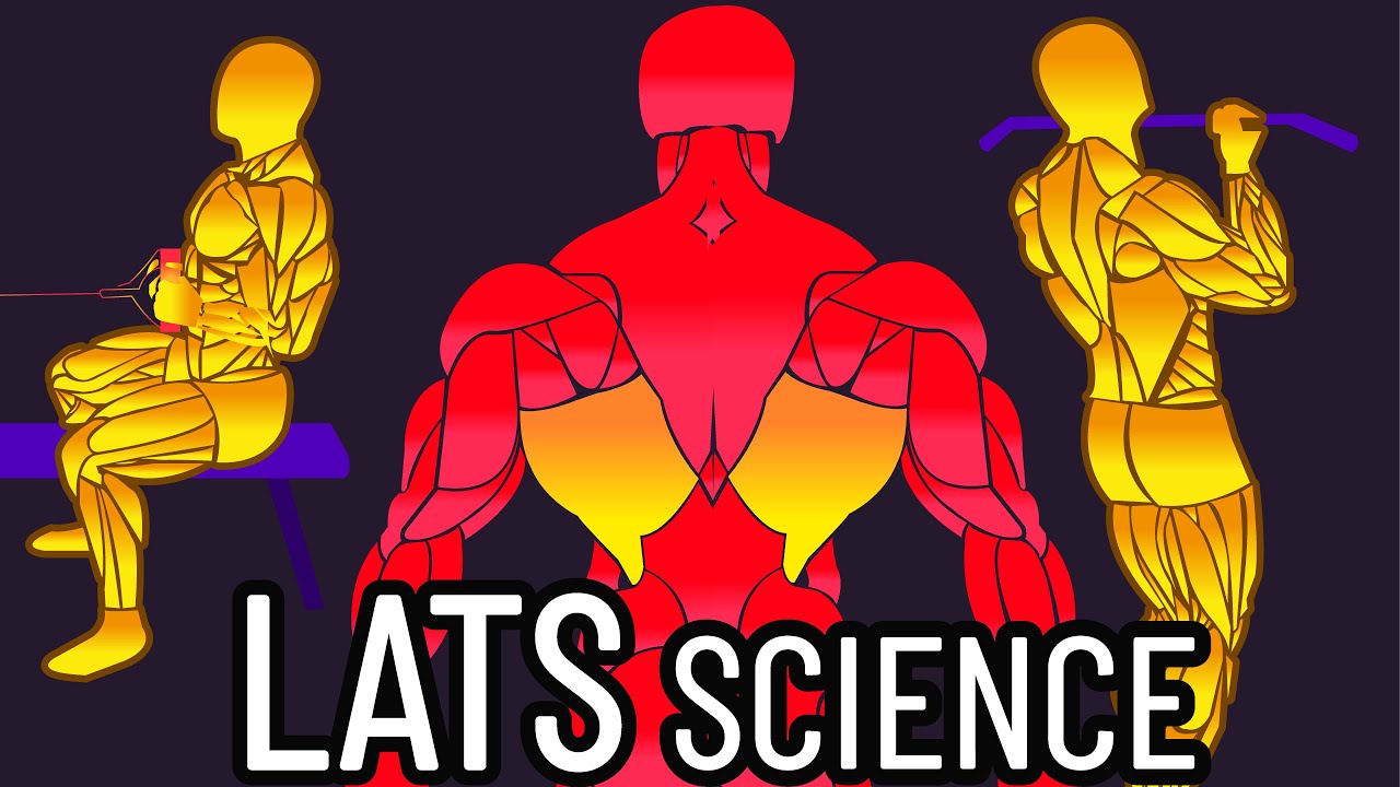 Maximizing Lat Development: The Ultimate Guide to Building Your Lats ...