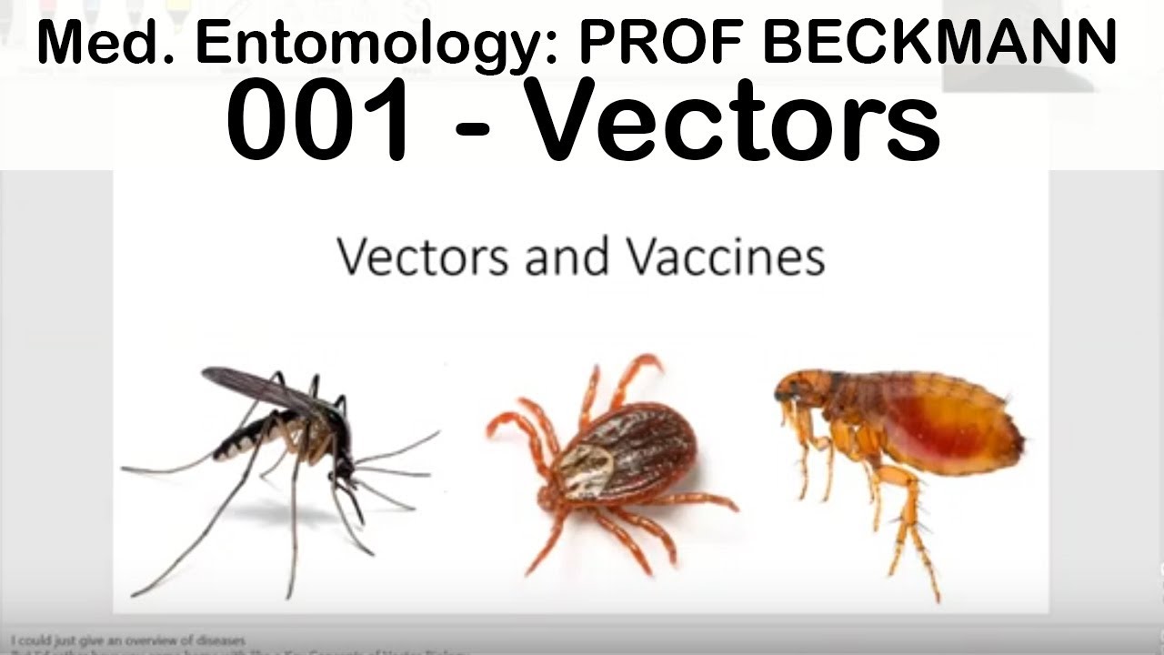 Medical Entomology 001: Vectors