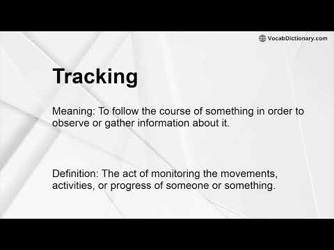 Tracking Meaning
