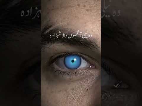 The Viral Urdu Novel Unearths Dubai's Don | Roohe Yaram #famous urdu novels