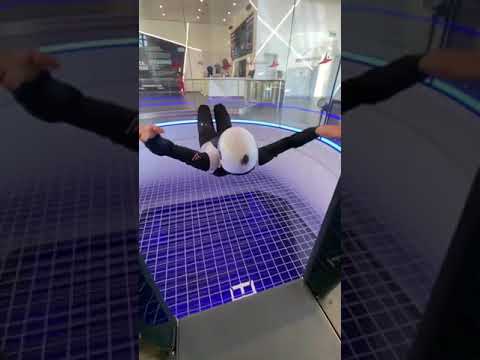 zero gravity chamber #short #ytshorts #shorts