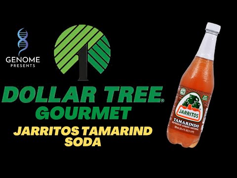The Dollar Tree Gourmet - Jarritos Tamarind