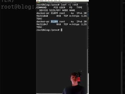 Linux Find Process Running on Port #linux #devops