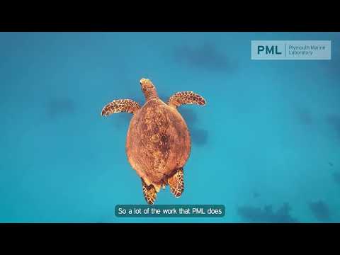 Why the Ocean Matters