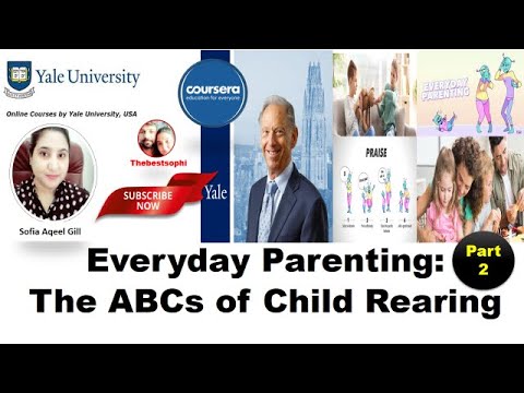 Everyday Parenting: The ABCs of Child Rearing ABC'S Part 2 in Urdu/Hindi