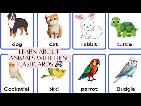 Free Printable Flashcards for Kids! Learn Fast & Fun!