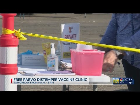 Free parvo, distemper vaccination clinic taking place Saturday