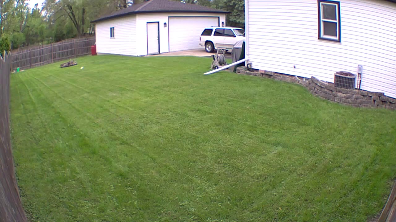 Bumble Bee Inspects my Blink Camera