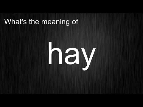 What's the meaning of "hay", How to pronounce hay?