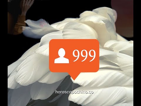 999 angel number death meaning video