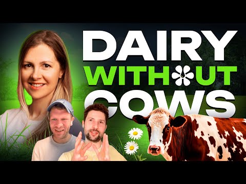Dairy Without Cows: The Science Changing Food Forever 🥛