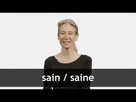English Translation of “SAIN” | Collins French-English Dictionary