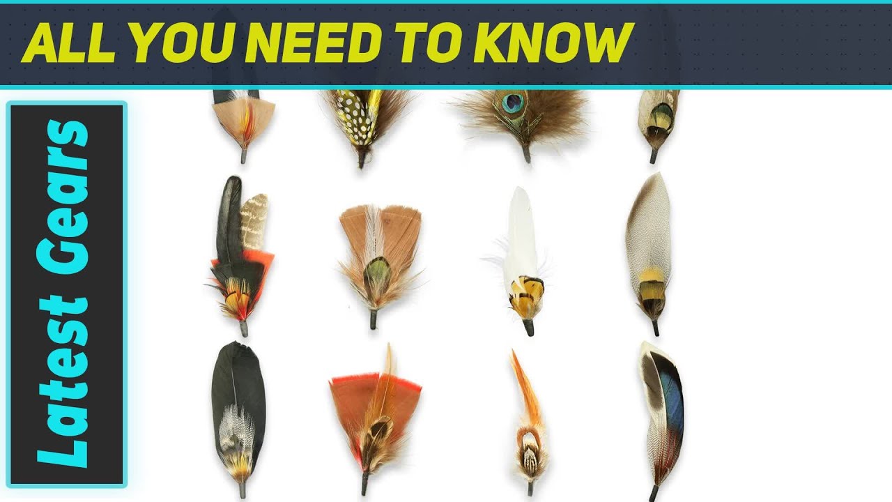 Cowboy Hat Feathers: Add Flair to Your Style!