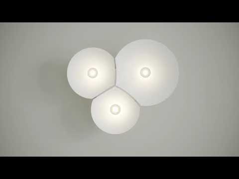 Bulbullia | Light of lightness