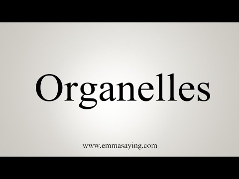 How To Say Organelles