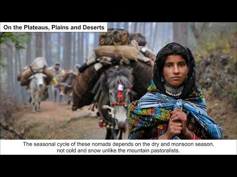 Ch 5 - Pastoralists in the Modern World | Pastoral Nomads Movements II