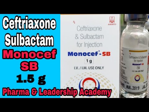 Ceftriaxone and Sulbactam Injection Retailers & Dealers in India