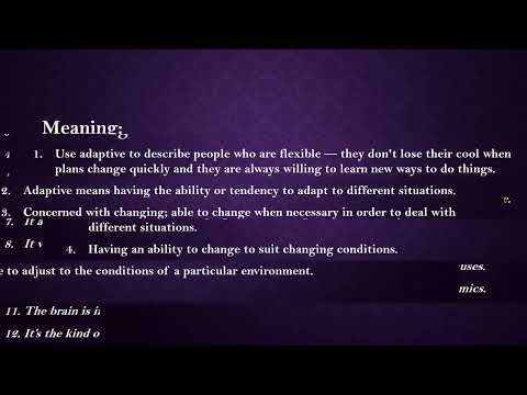 Adaptive Meaning with Examples