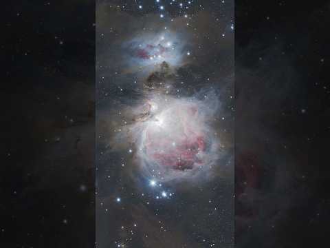 The Great Orion and Running Man nebula, from a Celestron C11 with a hyperstar V4 #orion #nebula