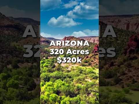320 Acres of Arizona Land for Sale with Creek • LANDIO