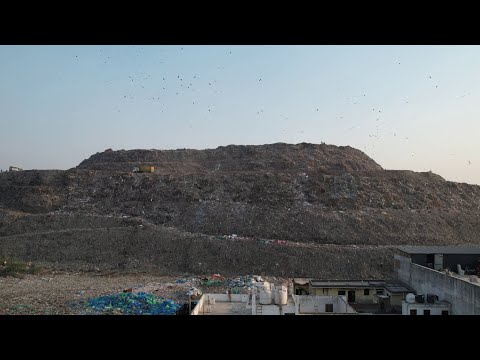 Fisk Johnson: Chairman and CEO of SC Johnson | Sustainability Advocate