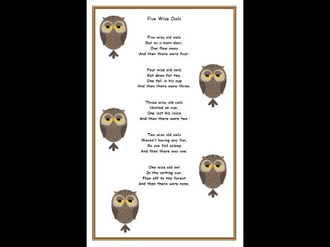 Five Wise Owls