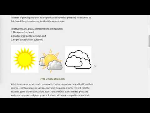 Home | Year 5 Science: Biology – Authentic learning experiment