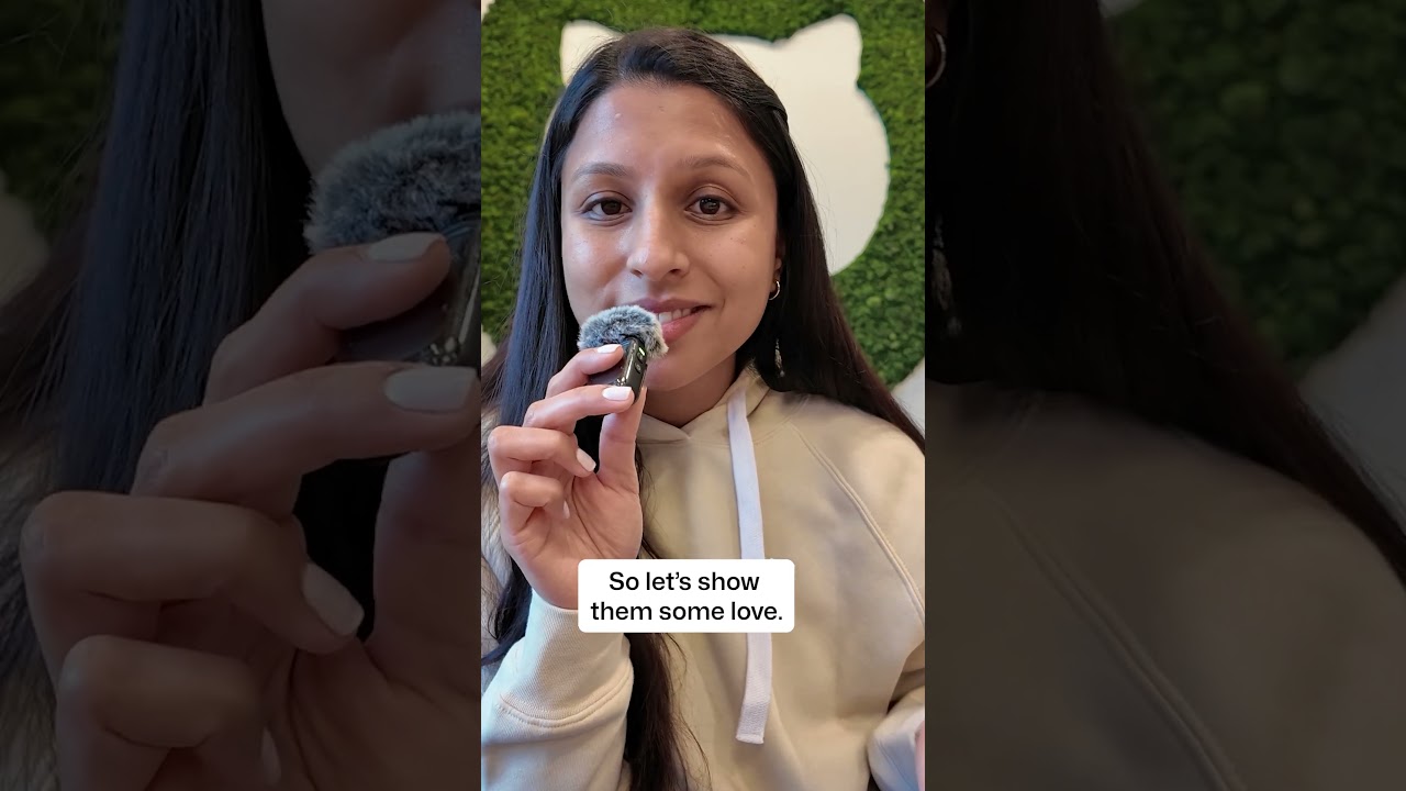 This Valentine's Day, sponsor what you love❤️