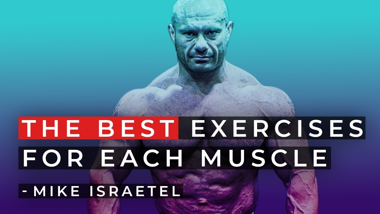 The Ultimate Guide to Effective Exercises for Every Muscle Group ...