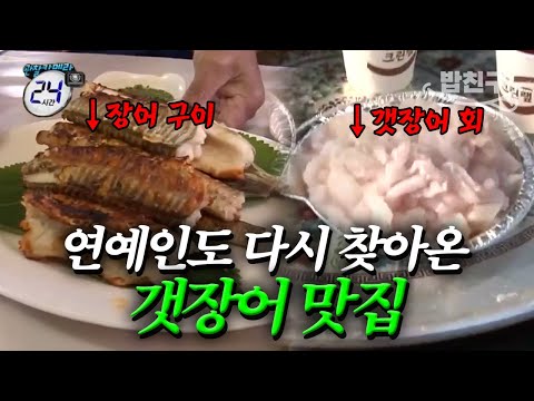 [#밥친구] 오직 갯장어 요리로만 유명해진 섬이 있다?!🐟 갯장어 샤브샤브 + 갯장어 회 + 갯장어 구이등등.. 맛집 정보 싹 다 털어옴🤤 | #관찰카메라24시간 59회