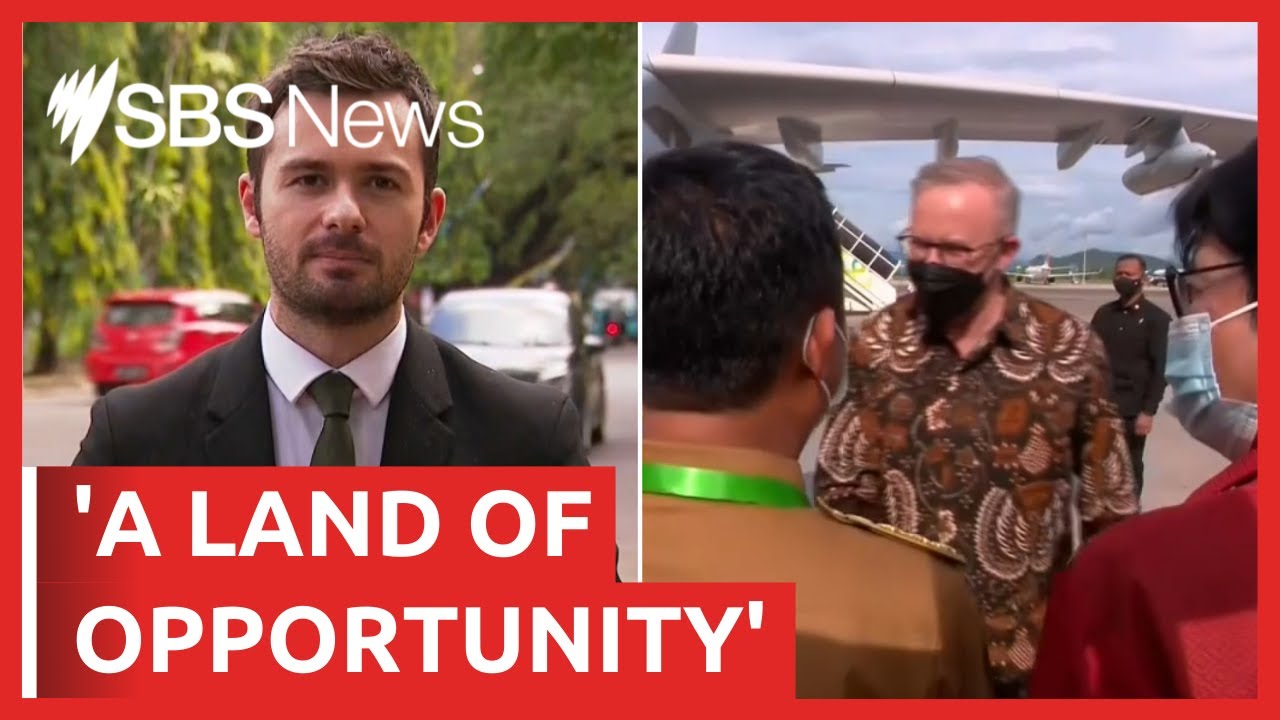 Anthony Albanese wraps up key bilateral visit to Indonesia  | SBS News